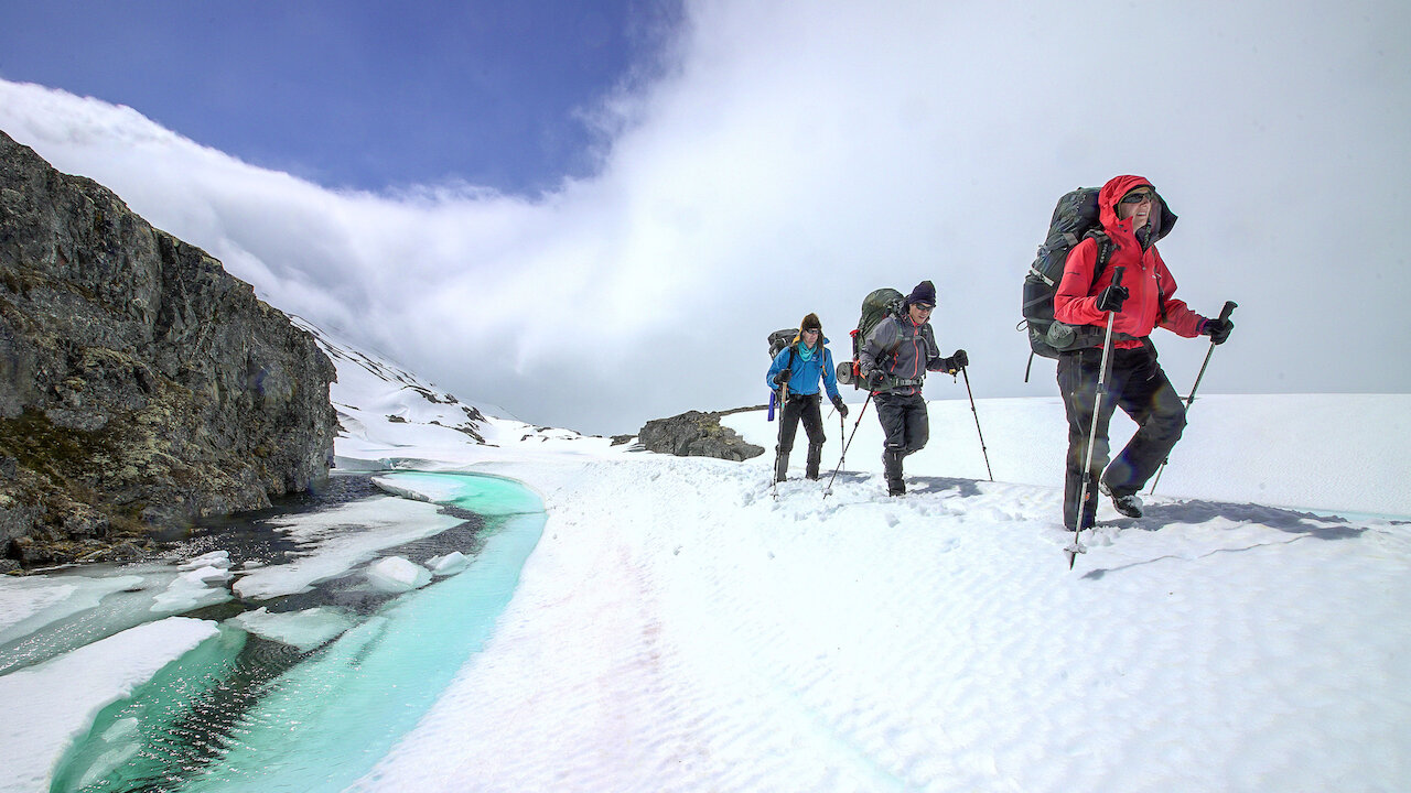 Watch Operation Gold Rush | Netflix