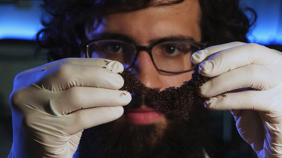 Watch Fire Ants | Netflix