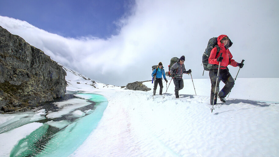 Watch Operation Gold Rush | Netflix